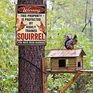 Funny Squirrels Sign, Warning Squirrel Gifts for Squirrel Lovers, Aluminum Sign Rust Free 9" X 11", Pre-Drilled Holes, Weather Resistant