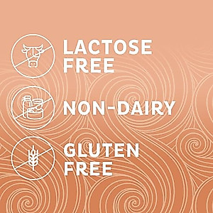 Nestle Coffee Mate Coffee Creamer Sugar Free Vanilla Caramel, Pack of 6