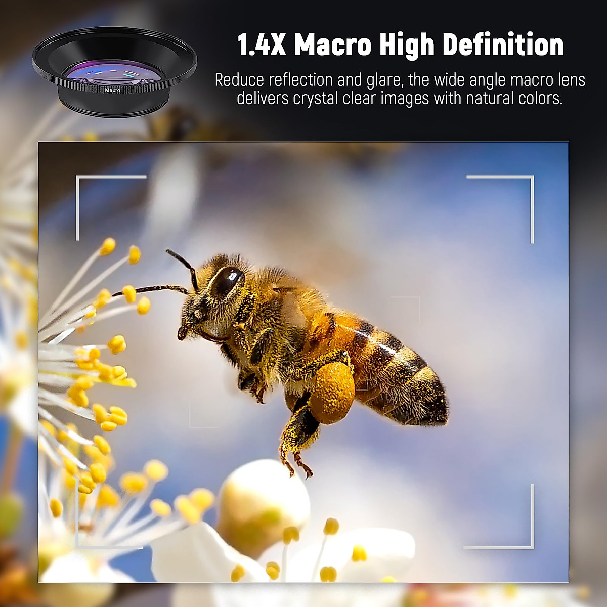 NEEWER 58mm 0.43X HD 2 in 1 Fisheye & Macro Lens, Wide Angle Fisheye Lens with 18mm Focal Length Compatible with Canon EOS T7 T8i R7 R10 R50 Nikon D3500 D7500 D3300 D3400 D850 Fujiflim X-T5 T4, LS-20