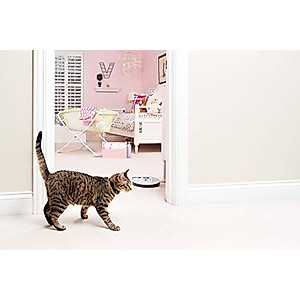 PetSafe Indoor Radio Fence for Cats and Dogs, Transmitter Only, Adjustable Range Up to 10 feet Radius, Tone and Static Correction - From The Parent Company of INVISIBLE FENCE Brand