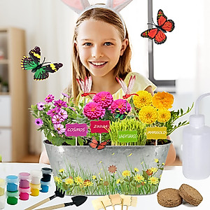 Wenzhuo Paint & Plant Flower Growing Kits-Planter,Soil-Kids Gardeing kit Toys，DIY STEM Arts & Crafts Project Activity,Unique Science and Garden Gift for Girls & Boys Age 5 6 7 8-12