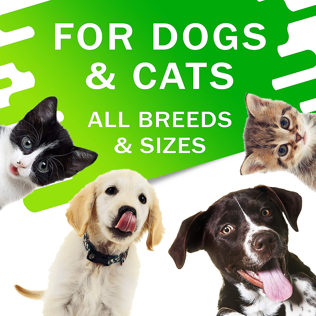 Kennel Cough Drops for Dogs and Cats - 2oz Pet Herbal Remedy - Throat Soother - Homeopathic Respiratory Support - Dry, Wet & Barky Pet Cough and Cat Asthma, Sinus Congestion Treatment - Made in USA