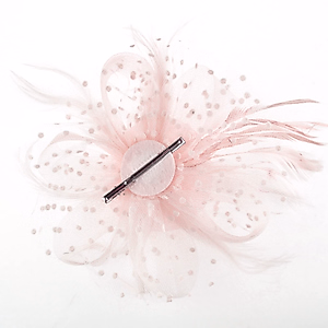 DRESHOW Fascinators Hat Flower Mesh Ribbons Feathers on a Headband and a Clip Tea Party Headwear for Girls and Women