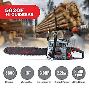 SALEM MASTER Chainsaw Gas 5820F 58CC 2-Cycle Gas Powered Chainsaw, 16 Inch Chainsaw, Handheld Cordless Petrol Gasoline Chain Saw for Farm, Garden and Ranch (5820H-16inch)