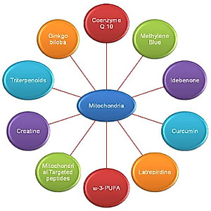 Optimum Upgrade OU Methylene Blue 1% | USP-Grade | Third-Party Tested Brain Health Dietary Supplement | 50ml Glass Dropper Bottle | No Formaldehyde (2 oz)
