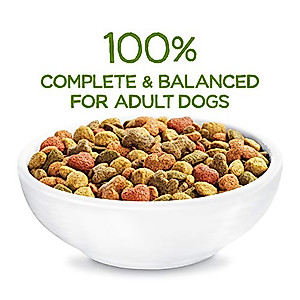 Purina Beneful Healthy Weight Dry Dog Food With Farm-Raised Chicken - 6.3 lb. Bag