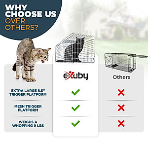 eXuby Large Cat Trap for Stray/Feral Cats & Other Animals - 32"x12"x13” - Catch Them Live & Relocate - Extra Large 8.5" Trigger Platform - Also for; Racoon, Rabbit, Possum, Skunk, Bobcat, Squirrel