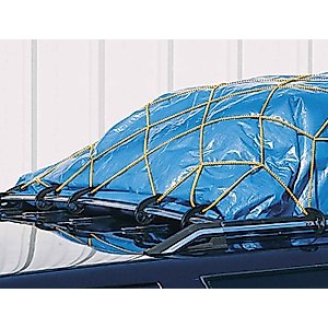 PROGRIP 901000 Cargo Net for Transport Storage and Vehicle: Roof Rack Bungee Netting with Adjustable Hooks, 36" x 48"