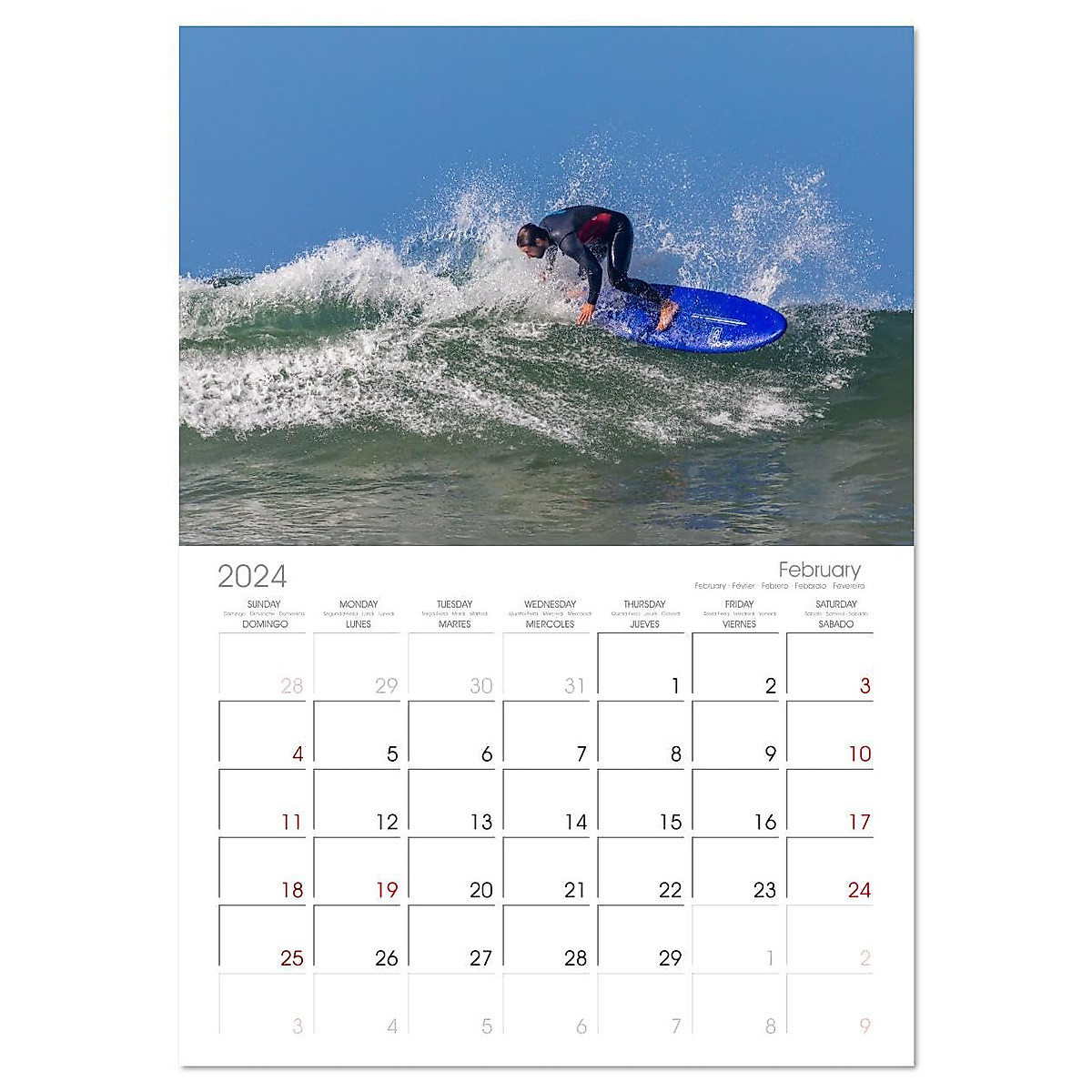 Surfing in Brittany (Monthly Wall Calendar 2024 11.7" x 16.5" (open)), CALVENDO 14 Month Calendar