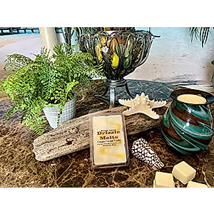 Swan Creek Drizzle Melt Creamy Coconut Vanilla