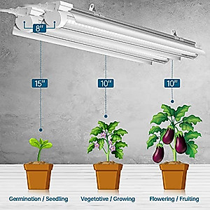 Barrina Grow Lights for Indoor Plants, 3FT 5000K Daylight White Full Spectrum Plant Lights, 180W(6 x 30W, 1000W Equivalent), T8 Grow Light Bulbs, LED Grow Light Strips, Linkable Design, 6-Pack