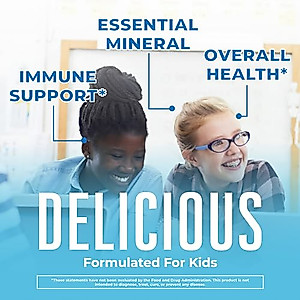 MaryRuth Organics Zinc Supplements for Immune Support, Liquid Zinc Supplement, Immune Support Supplement for Kids, Ages 4-13, Zinc Sulfate, Vegan, USDA Organic, Glycerin Based, 2 Fl Oz