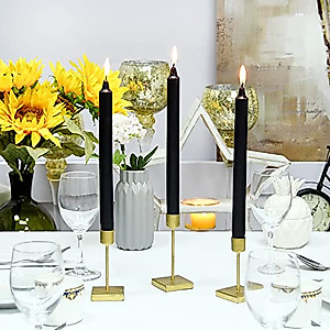 Zest Candle, 10-Inch, Black Straight 12-Piece Taper Candles, Size: 7/8" Diameter x H, Count