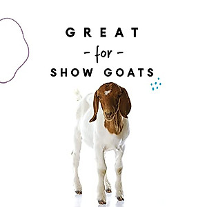 Manna Pro Goat Skin & Coat Supplement | for All Breeds of Goat | Provides Nutrients for Healthy Skin | 4 Pounds