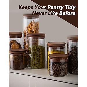 BOILMERIT 500ml Glass Coffee Canister with Wooden Lids and Scoop, Kitchen Coffee Container Set of 2 Hold Up to Total 12 oz of Coffee Bean, Airtight Food Storge Jars for Ground Coffee Bar Cereal Snack