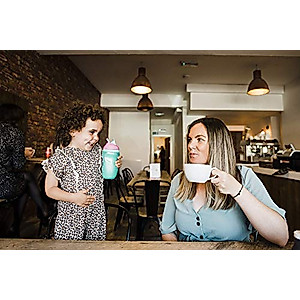 Tommee Tippee Insulated Toddler Straw Sippy Cup, 9-Ounce, 12+ Months – 2 Count (Colors Will Vary)