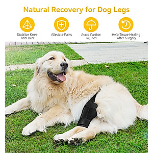 soundfuse Dog Knee Brace, Leg Brace for ACL with Cruciate Ligament Injury, Joint Pain and Muscle Sore, Adjustable Rear Support for Knee Cap Dislocation, Pet Knee Brace Recommended for Big Dog(Size: L)
