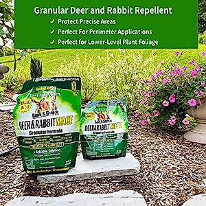 Nature's MACE Deer & Rabbit Repellent 6lb / Covers 6,000 Sq. Ft. / Repel Deer from Your Home & Garden / Safe to use Around Children, Plants & Produce / Protect Your Garden Instantly