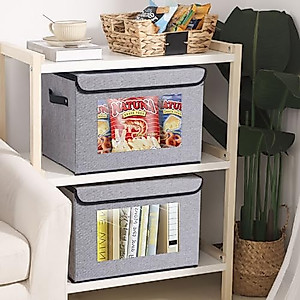 YheenLf Fabric Storage boxes,Storage Baskets for Shelves with Lids, Fabric Storage Bins with Handles, Decorative Linen Closet Organizers Boxes,Small, Gray, 1-Pack