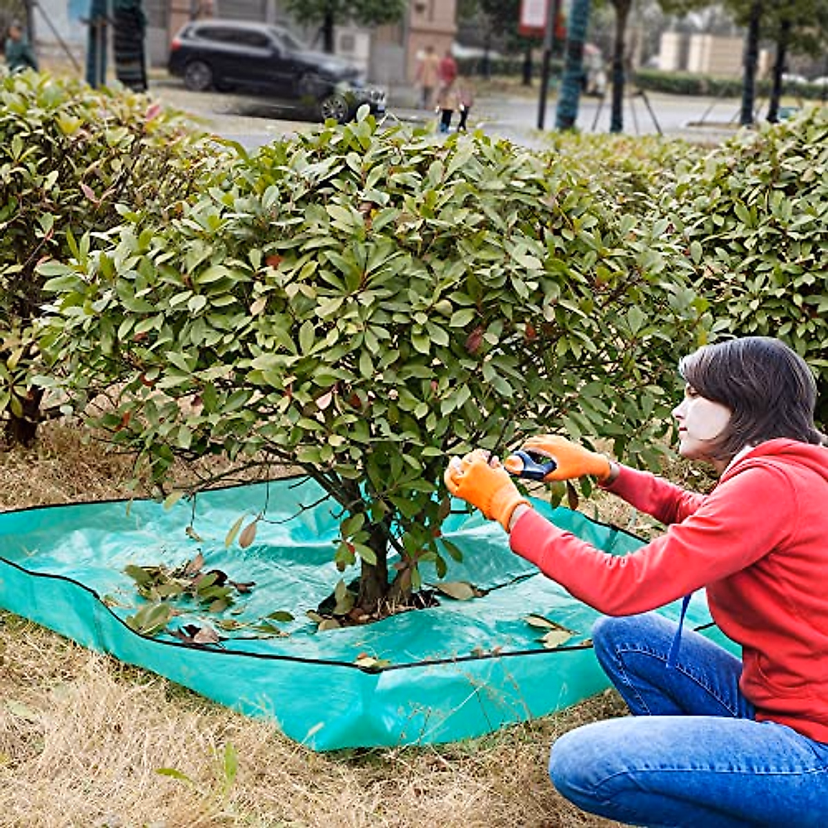 Landscape Tarp for Trimming with 12 inch Hole -Garden Tree Pruning Waterproof Tarp,Four Corners Has Corner Buckles Can Stand Up Fasten Around Trees and Shrubs