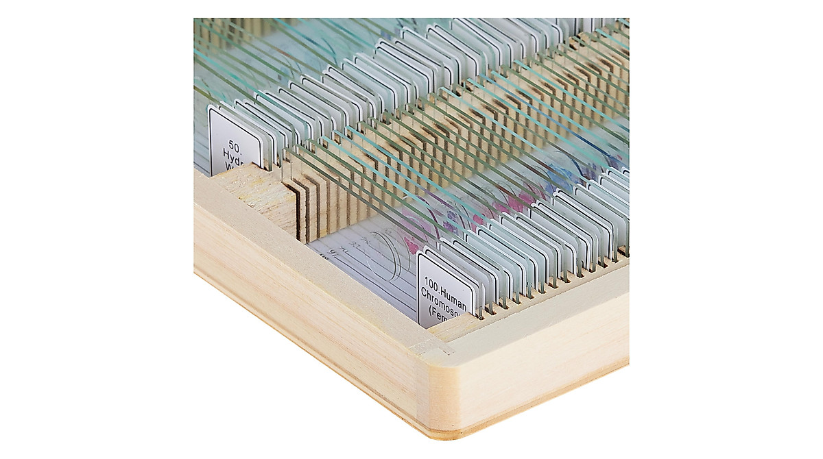 Celestron 44412 Microscope Slides Set - 100 Prepared Specimens for Learning
