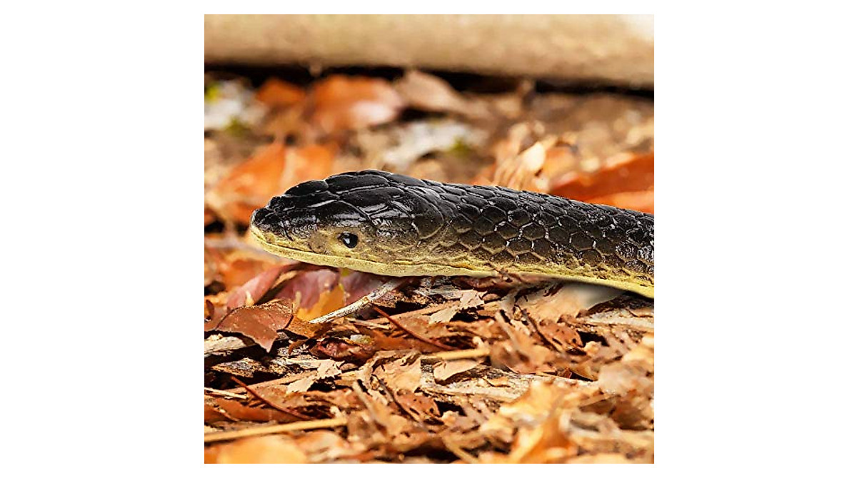 Realistic Rubber Snake 2Pcs for Pranks, Garden & Halloween