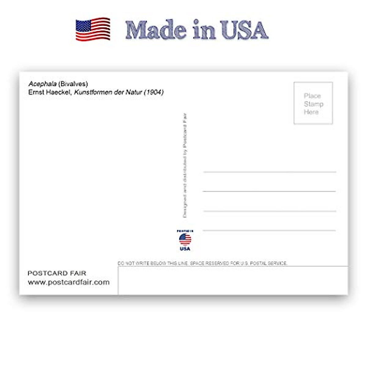 NATURAL CURIOSITIES by Ernst Haeckel postcard set of 20 postcards. Botanical illustrations theme post card variety pack. Made in USA.