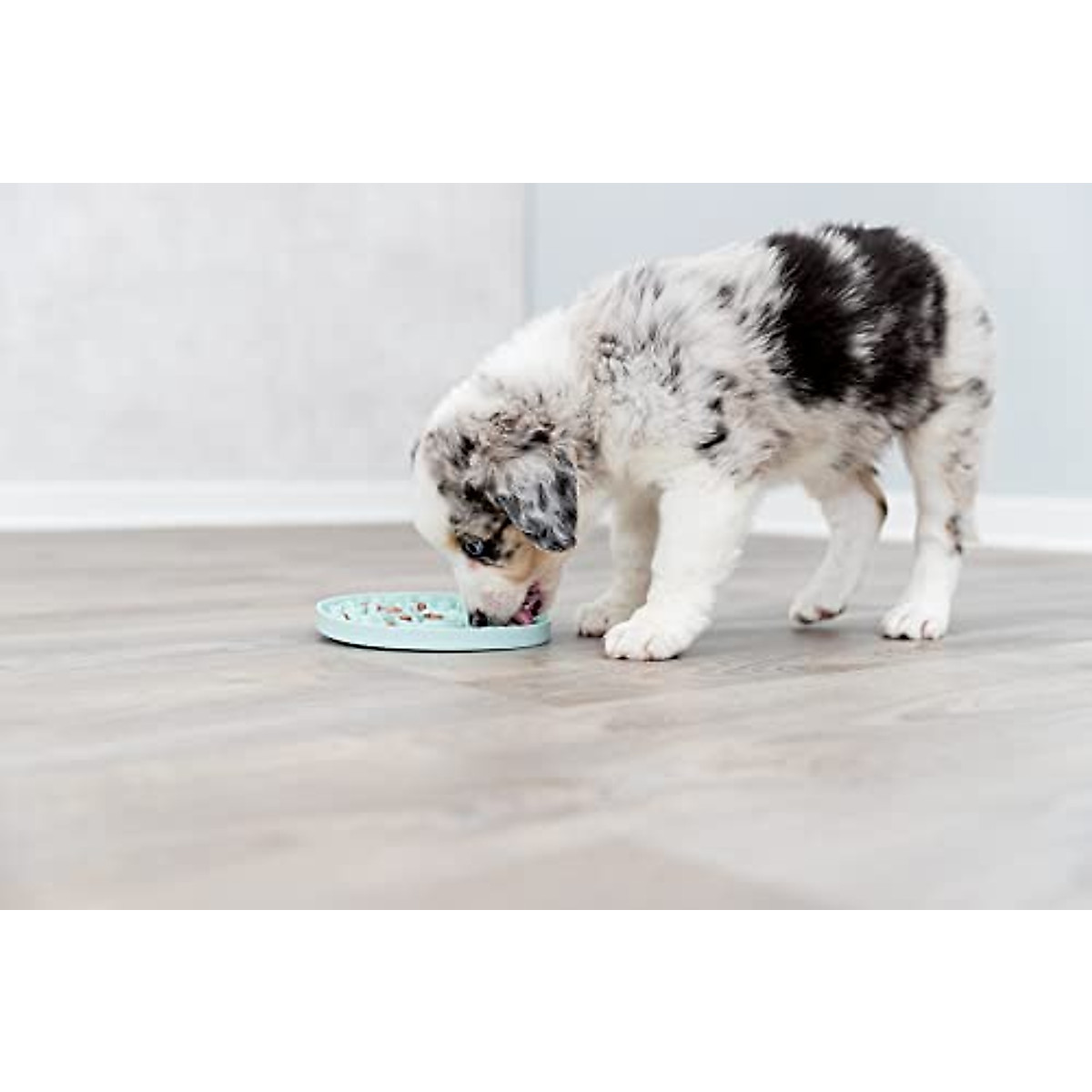 TRIXIE Junior Licking Mat, Pet Slow Feeder, for Dogs and Cats, Mint