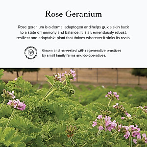 evanhealy Rose Geranium HydroSoul | Copper Distilled Hydrosol | Gentle, Astringent Organic Facial Tonic | Balancing Face Toner for Dry, Oily, Combination, Teen Skin