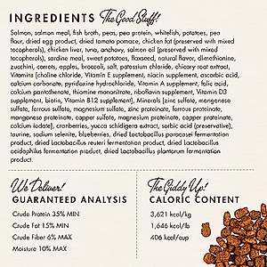 Fromm Four-Star Nutritionals Salmon Tunachovy Cat Food - Premium Dry Cat Food - Salmon Recipe - 10 lb