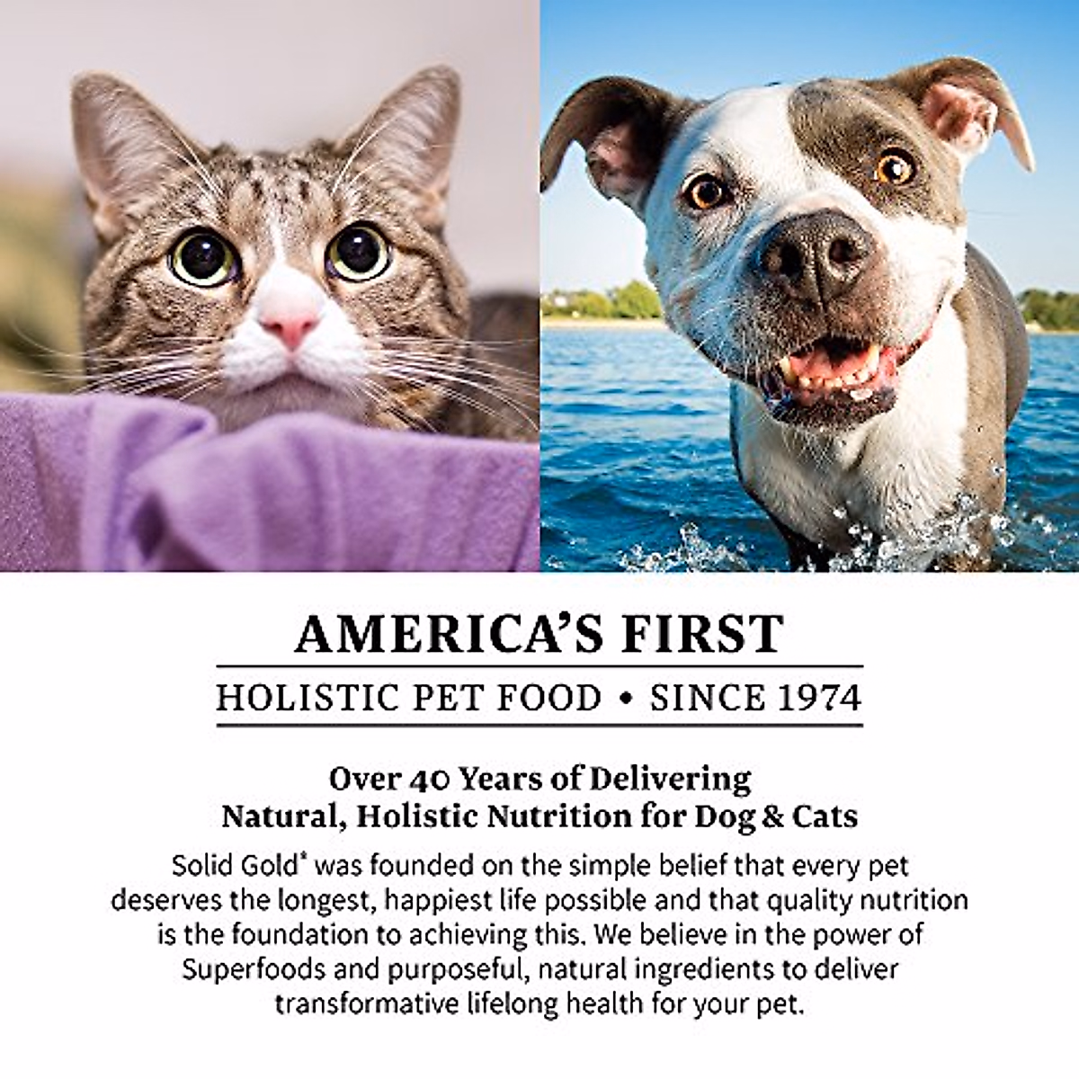 Solid Gold Cranberry Supplement for Dogs & Cats for Urinary Tract Health - Berry Balance UTI + Bladder + Kidney Support for Cats and Dogs with Antioxidants - Cranberry Powder - 3.5 oz