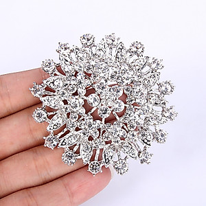 EVER FAITH Women's Austrian Crystal Elegant Flower Leaf Bridal Corsage Brooch Pin Clear Silver-Tone