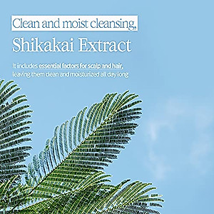 Bouquet Garni Shampoo Clean Fragrance 16.9 Fl Oz - Long Lasting Fragrance Dry Hair Moisturizing Shampoo - Scalp Moisturizer and Cleansing with Natural Surfactant - Amino Protein Natural Oil