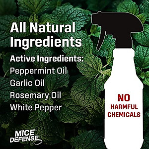 Exterminators Choice Lizard Defense Spray | 32 Ounce 2 Pack | Natural, Non-Toxic Lizard Repellent | Quick, Easy Pest Control | Safe Around Kids & Pets