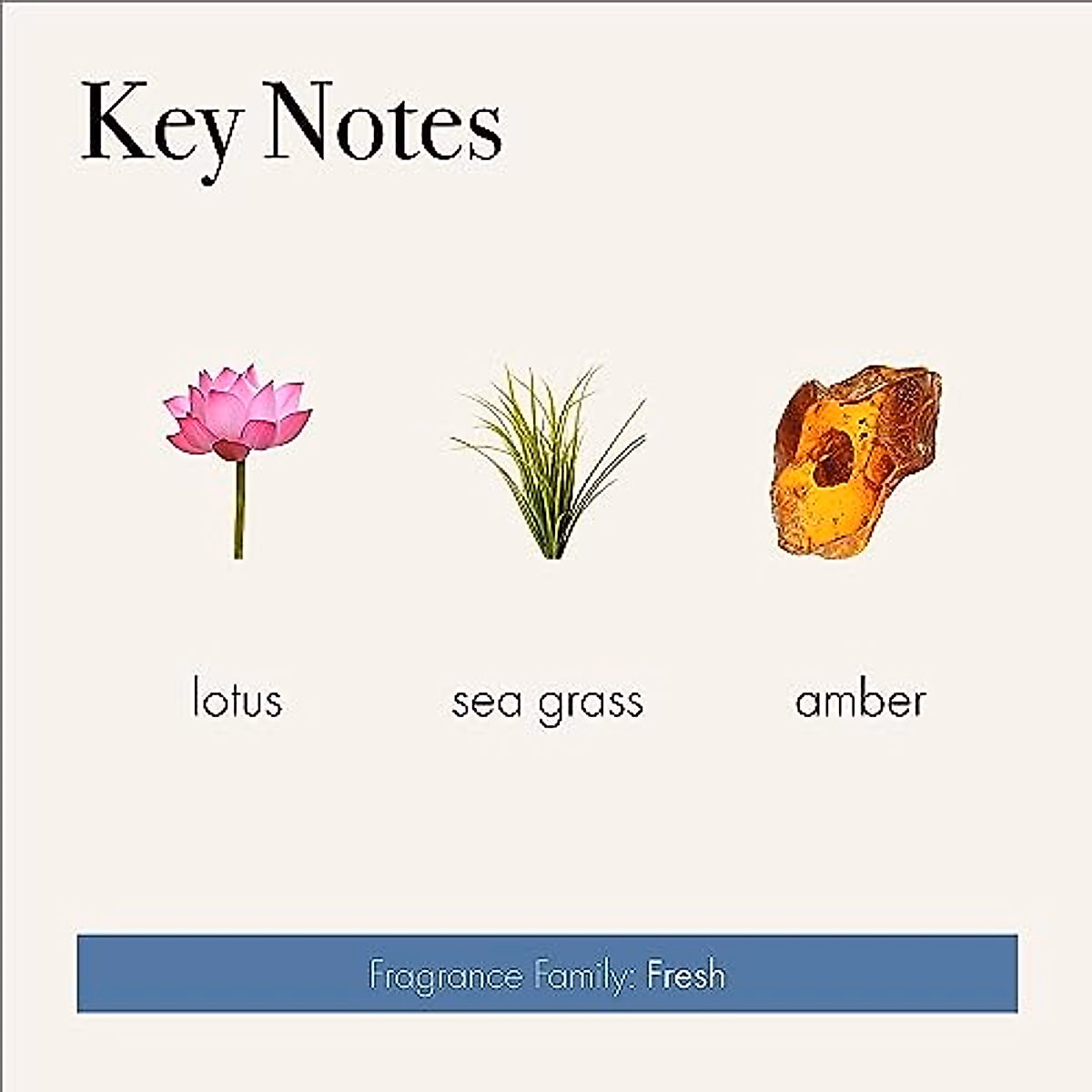 LAFCO New York Signature Candle, Sea & Dune - 15.5 oz, 2 Pack - 90-Hour Burn Time - Reusable, Hand Blown Glass Vessel - Made in The USA