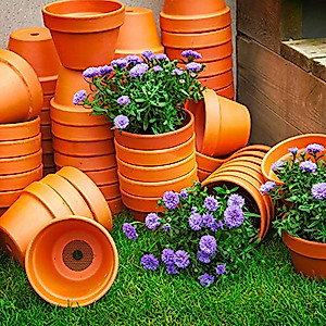 shemist 100PCS Pot Hole Mesh Pad, Bonsai Pot Bottom Grid Mat Mesh, Plant Drainage Screens Gasket, Round Drainage Mesh Hole Screens Keep Soil from Flowing Away, 2 Inch