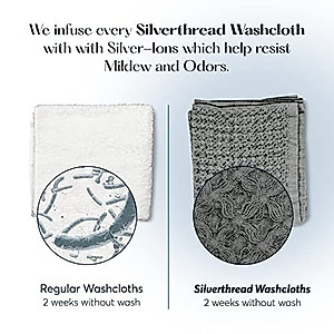 SUTERA - Wash Towels Extra Absorbent Silverthread Washcloths Set - Pack of 4 Grey - 100% CA-Grown Cotton - Luxury Soft Durable Quick Drying Fabric Bathroom Face Cloths