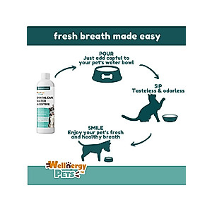 Wellnergy Pets Dental Care Water Additive for Dogs & Cats – No Brush Formula, Oral Hygiene & Fresh Breath, Reduce Plaque and Tartar. 16 FL OZ