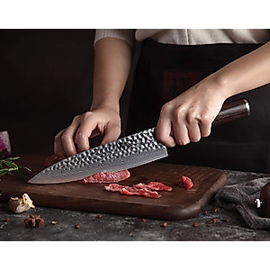 XINZUO 5-Piece Damascus Steel Kitchen Knife Set, Chef Santoku Nakiri Slicing Utility Knife Hammered Forging Damascus Kitchen Knife Professional Chef's Knife with Pakkawood Handle - He Series