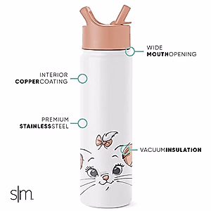 Simple Modern Disney Aristocats Water Bottle with Straw Lid Vacuum Insulated Stainless Steel Metal Thermos | Gifts Reusable Leak Proof Flask for Gym, Travel | Summit Collection | 22oz Aristocats