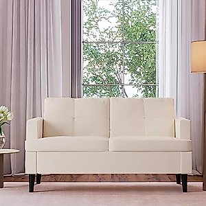 Milliard Loveseat, Velvet Love Seat, Small Couch