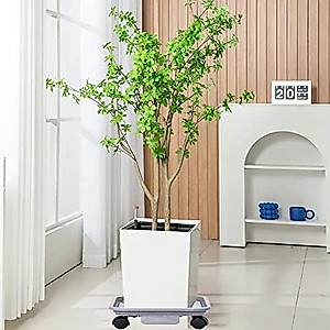 Square Plant Caddy with Wheels 14inch,Plant Stand with Wheels,Thick Plastic Plant Saucer with Drip Tray,Load Capacity 80 Lbs,Plant Trays for pots for Indoors Outdoors,2 Packs
