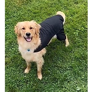 Dog Sleeve for Rear Legs Anti Lick, Dog Surgery Recovery Suit, Dog Pants to Prevent Licking, Dog Cone Alternative for Hind Legs, XXL, Blue