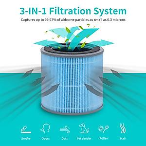 Breabetter 2-Pack H201 True HEPA Replacement Filter Compatible with Homvana H201 Purifier and also compatible with TEC.Bean JH50G-M, 3-in-1 True HEPA Filters