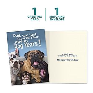 Tree-Free Greetings - Humorous Birthday Cards for Dad - Artful Designs - 1 Card + Matching Envelopes - Made in USA - 100% Recycled Paper - 5"x7" - Dog Years (GO61443)