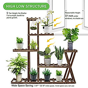 cfmour Wood Plant Stand Indoor Outdoor, Plant Display Multi Tier Flower Shelves Stands, Garden Plant Shelf Rack Holder in Corner Living Room Balcony Patio Yard with 3 Free Gardening Tools