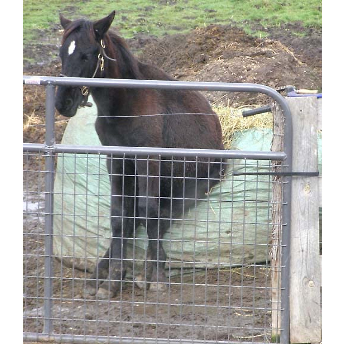 Big Bale Buddy Large