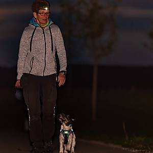 6 Pcs Small Dog Harness with Retractable Leash and Bowknot Pet Collar Set Soft Mesh Padded Vest Harness 10 FT Pet Walking Leash with Anti Slip Handle Adjustable Puppy Collar for Dog Cat (M)