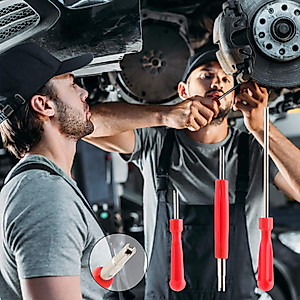 Valve Stem Removal Tool - 20Pcs Valve Cores, 10Pcs Tire Valve Caps, 4-Way Valve Tool, Valve Core Remover Tool by ZHSMS