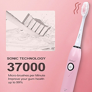 Pallus Electric Toothbrush, Sonic Toothbrush for Adults with 5 Dupont Bursh Heads, Ultra Cleaning with 37,000 VPM 5 Modes 2 Hours Charging for 30 Days Use,Pink Rechargeable Power Toothbrush